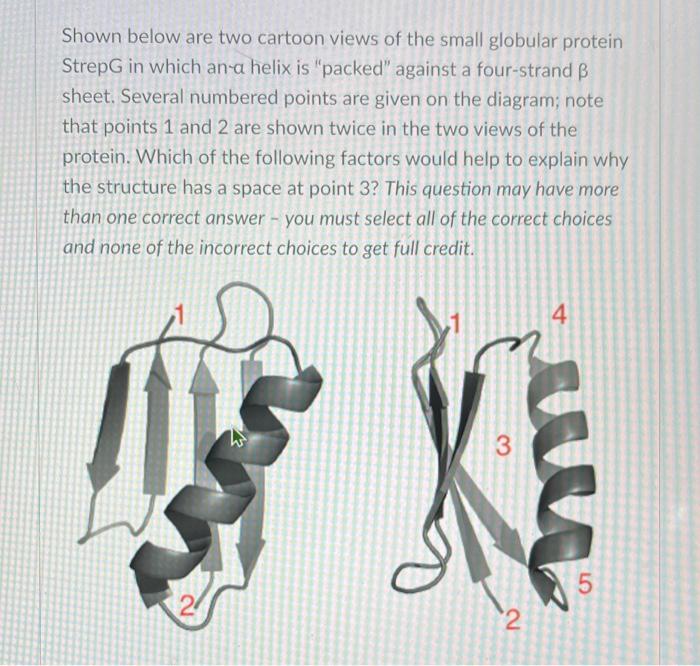 Solved Shown below are two cartoon views of the small | Chegg.com