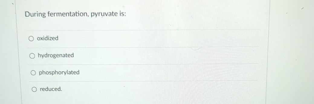 Solved During fermentation, pyruvate | Chegg.com