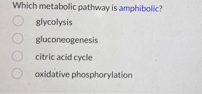 Solved Which metabolic pathway is amphibolic? glycolysis | Chegg.com