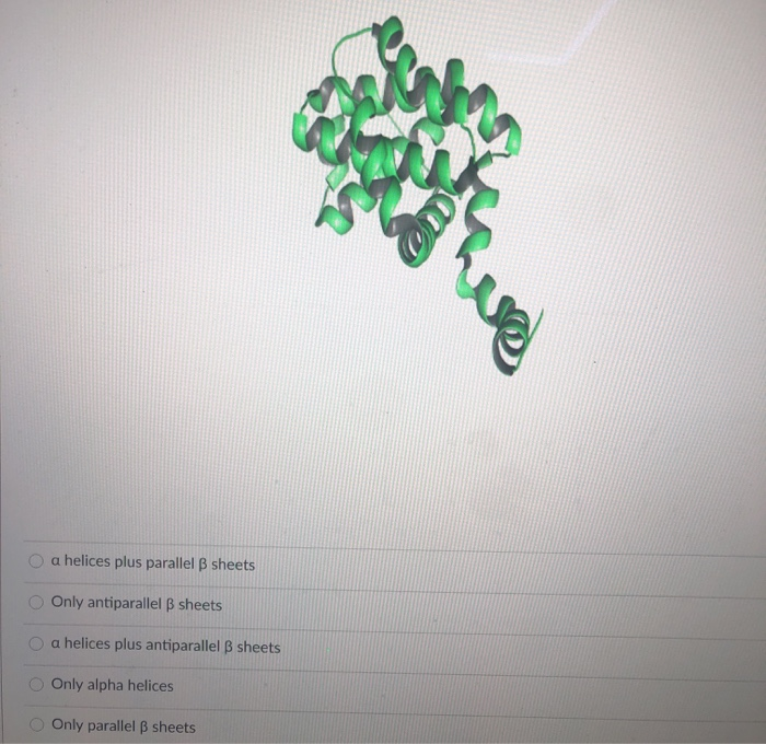 Solved a helices plus parallel B sheets Only antiparallel ß | Chegg.com