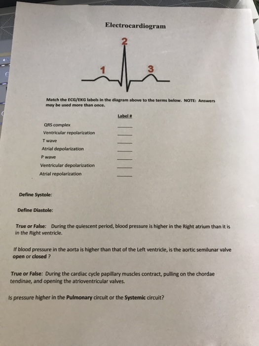 Solved Electrocardiogram Match the ECG/EKG labels in the | Chegg.com