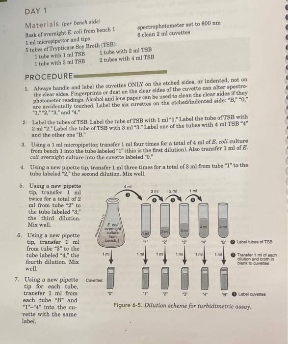Solved View the dilution in your lab manual for the | Chegg.com
