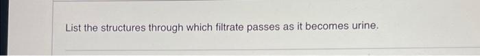 Solved List the structures through which filtrate passes as | Chegg.com