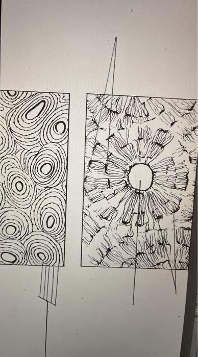 Solved 1. Concentric layers of calcified matrix 2. Site of | Chegg.com
