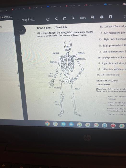 symploysispubio wlus calcanous foutanel pitit | Chegg.com