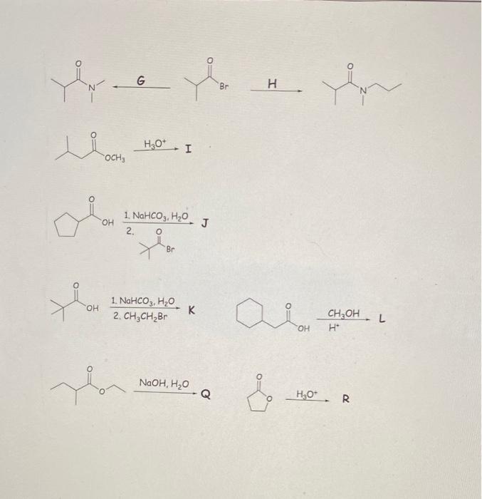 Solved fill blanks G-R in. | Chegg.com
