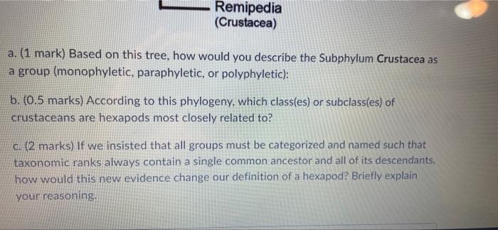 Solved Remipedia (Crustacea) a. (1 mark) Based on this tree, | Chegg.com