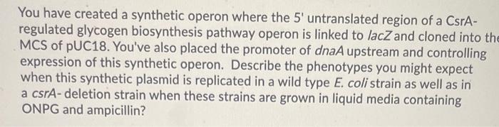 Solved You have created a synthetic operon where the 5' | Chegg.com