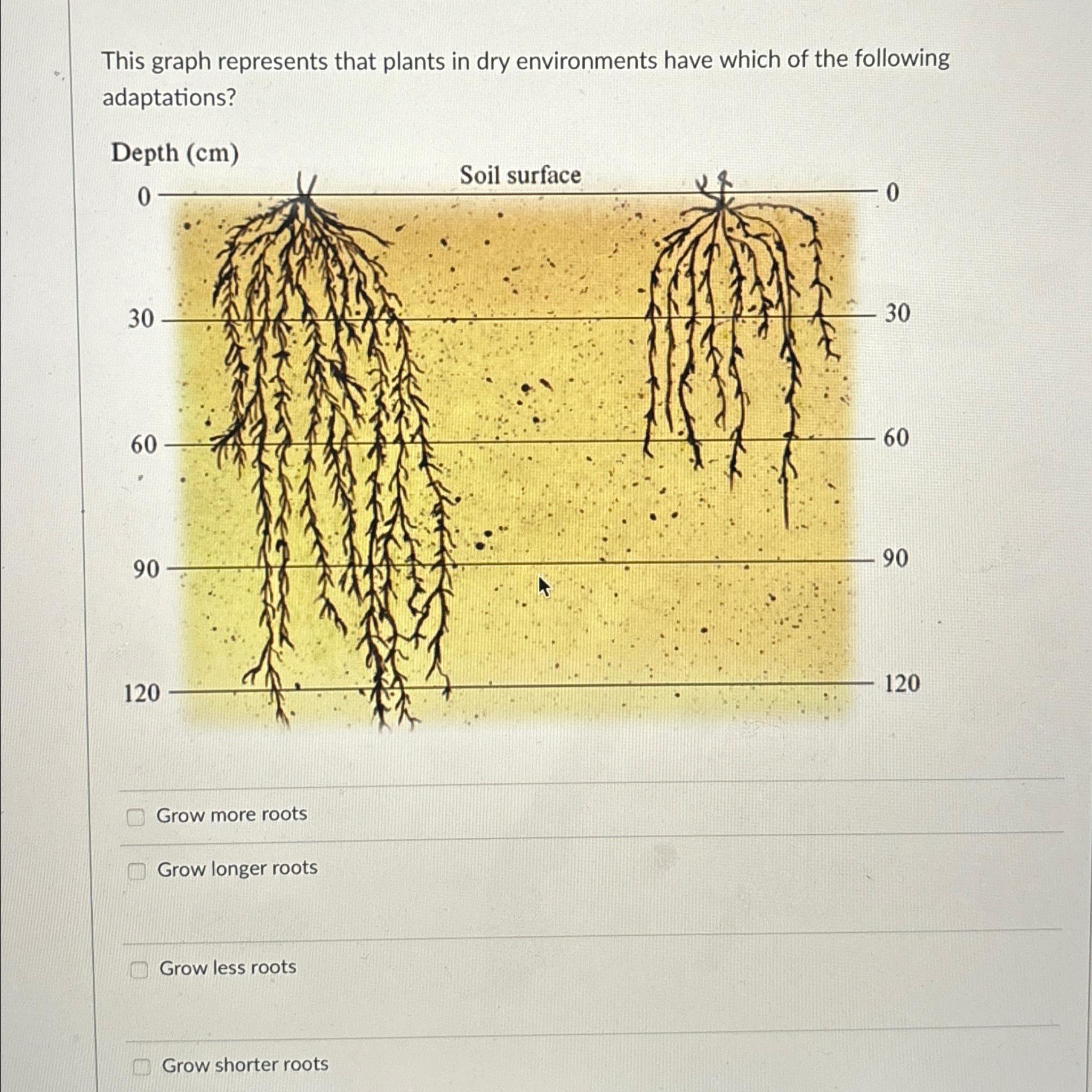 Solved This graph represents that plants in dry environments | Chegg.com