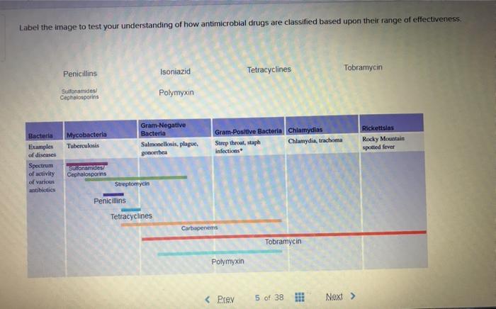 Solved Label the image to test your understanding of how | Chegg.com