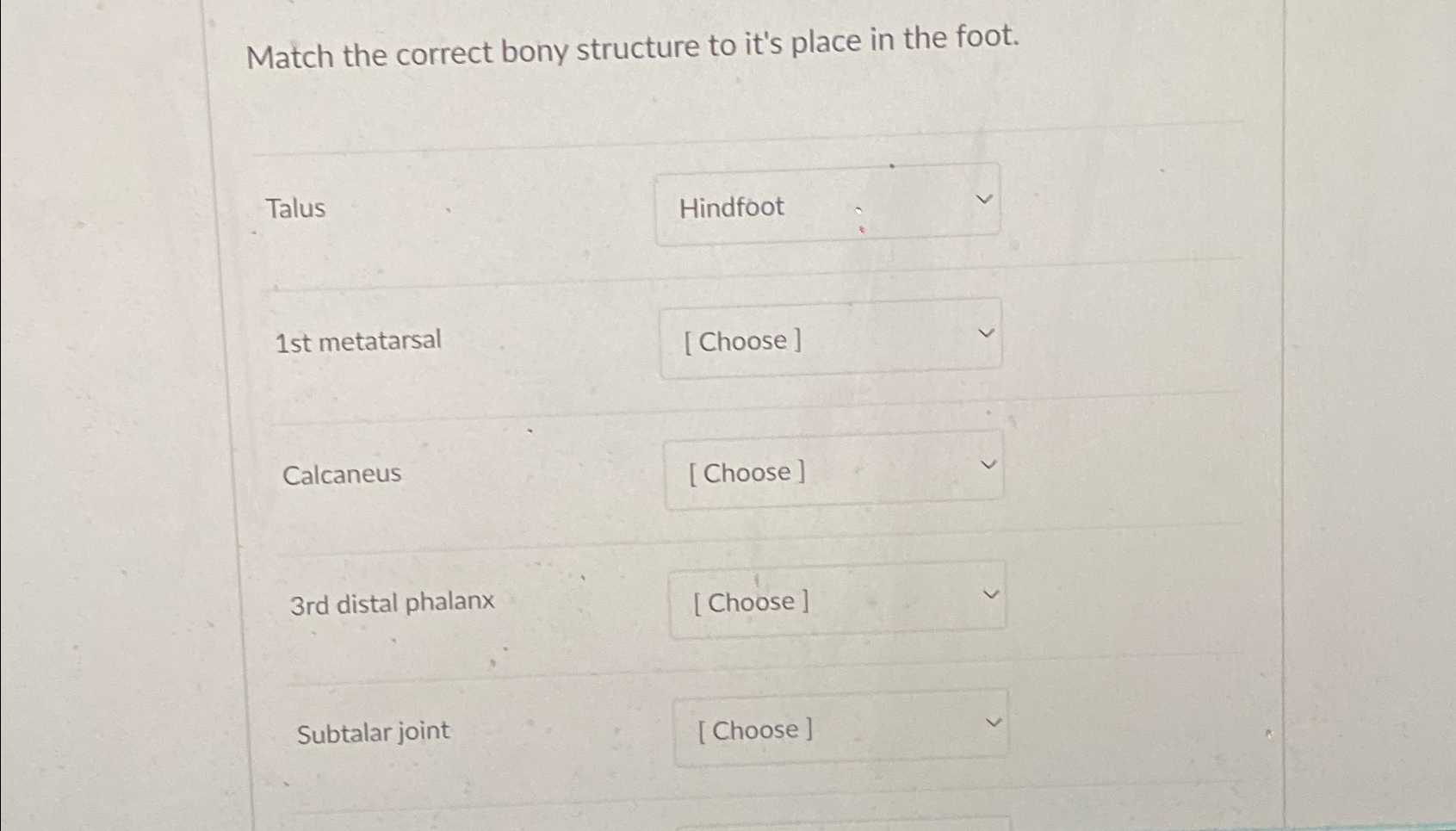 Solved Match the correct bony structure to it's place in the | Chegg.com