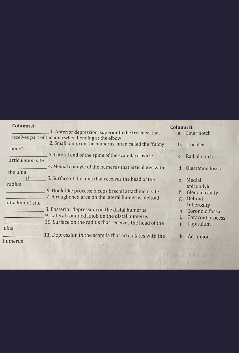 Solved Column A:Anterior depression, superior to the | Chegg.com