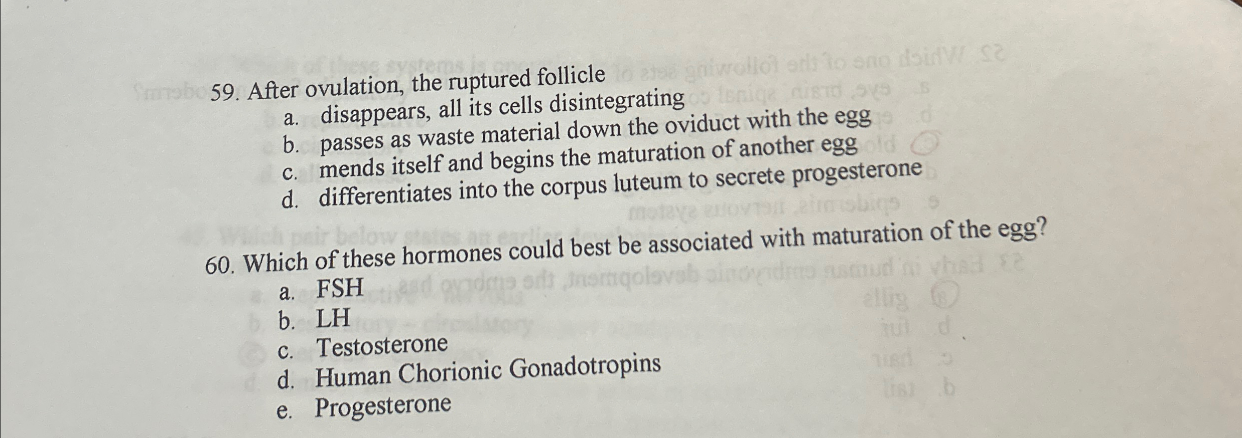 Solved After ovulation, the ruptured folliclea. ﻿disappears, | Chegg.com