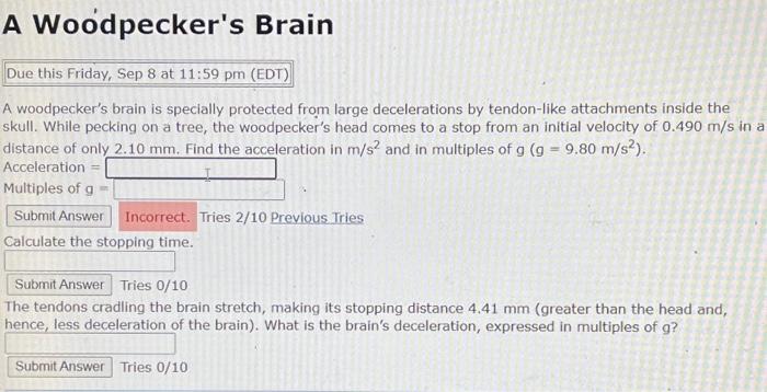 Solved A woodpecker's brain is specially protected from | Chegg.com