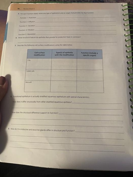 Solved REVIEW SHEET EXERCISE Classification of Tissues 6. | Chegg.com