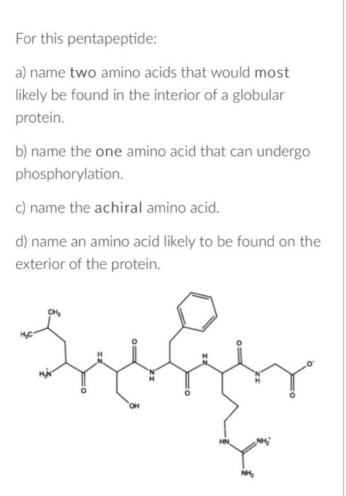 Solved For this pentapeptide: a) name two amino acids that | Chegg.com