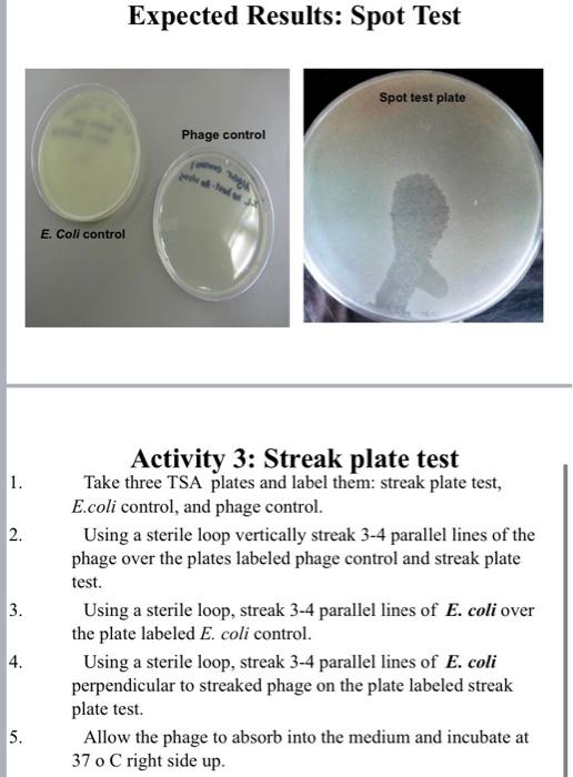 Solved Phage Activity 1: Broth Test Take three 5 ml TSB | Chegg.com