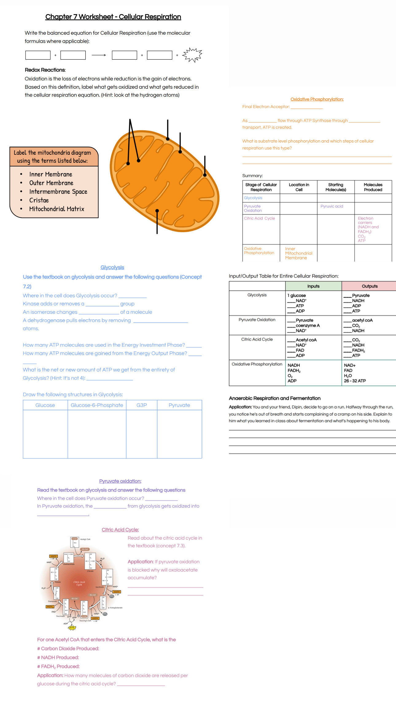Solved Chapter. 7 ﻿Cellular Respiration Bio 190 | Chegg.com