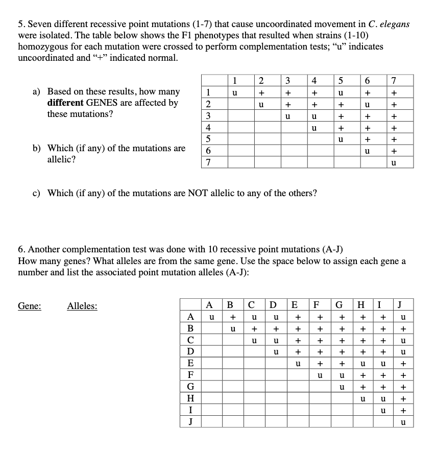 Solved 5. ﻿Seven different recessive point mutations (1-7) | Chegg.com
