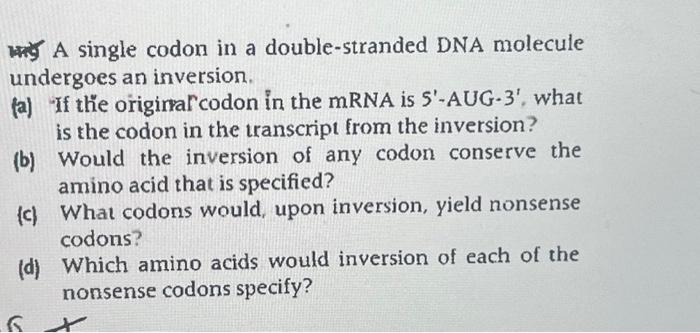 Solved A single codon in a double-stranded DNA molecule | Chegg.com