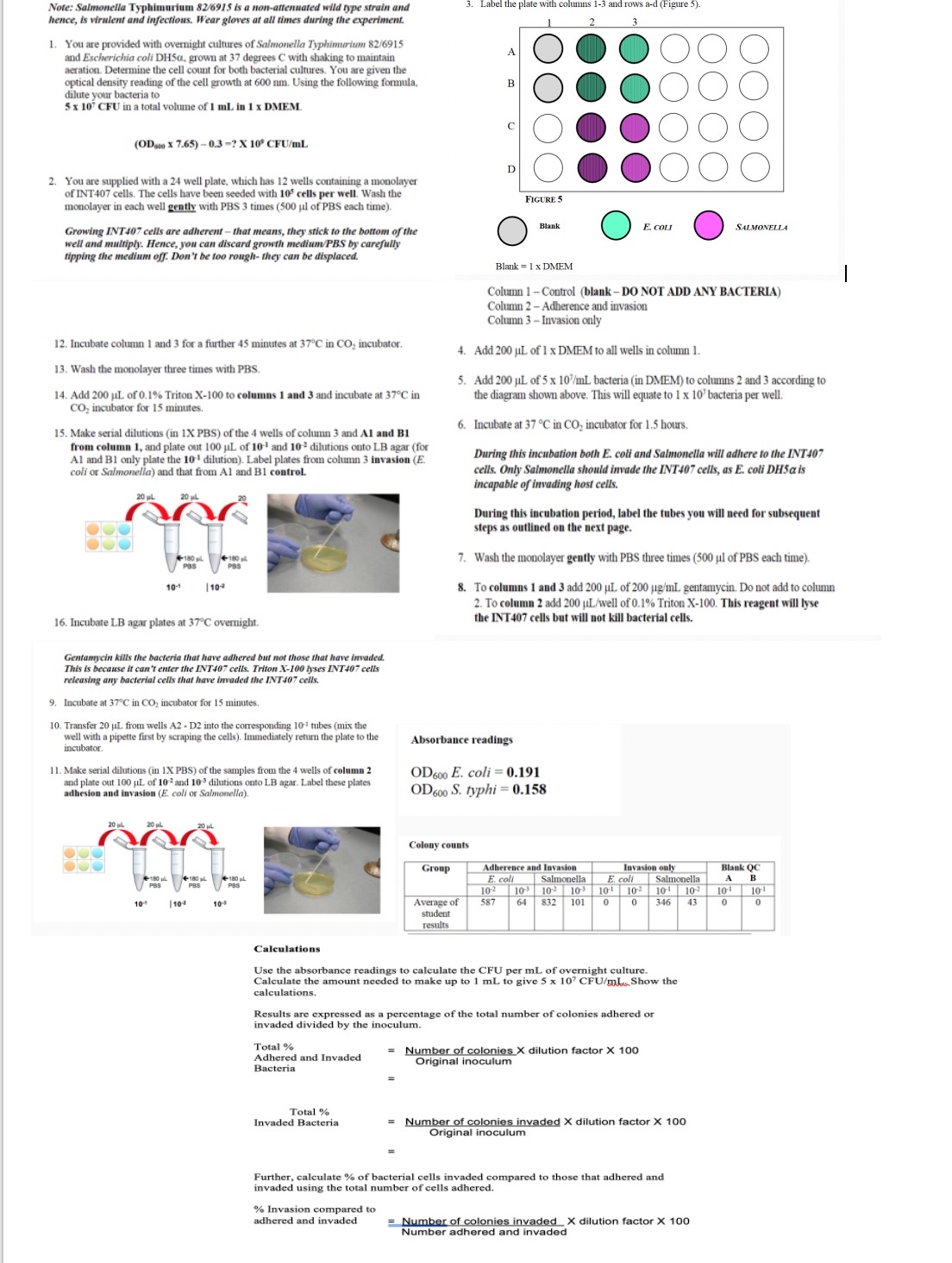 Solved Can someone help with the calculations questions at | Chegg.com