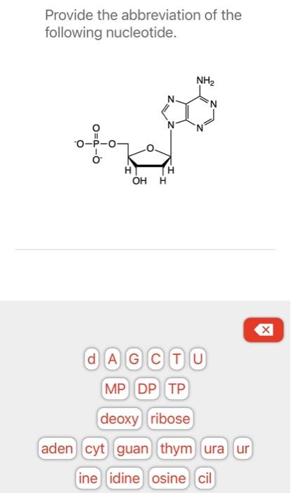 Solved Provide the abbreviation of the following nucleotide. | Chegg.com