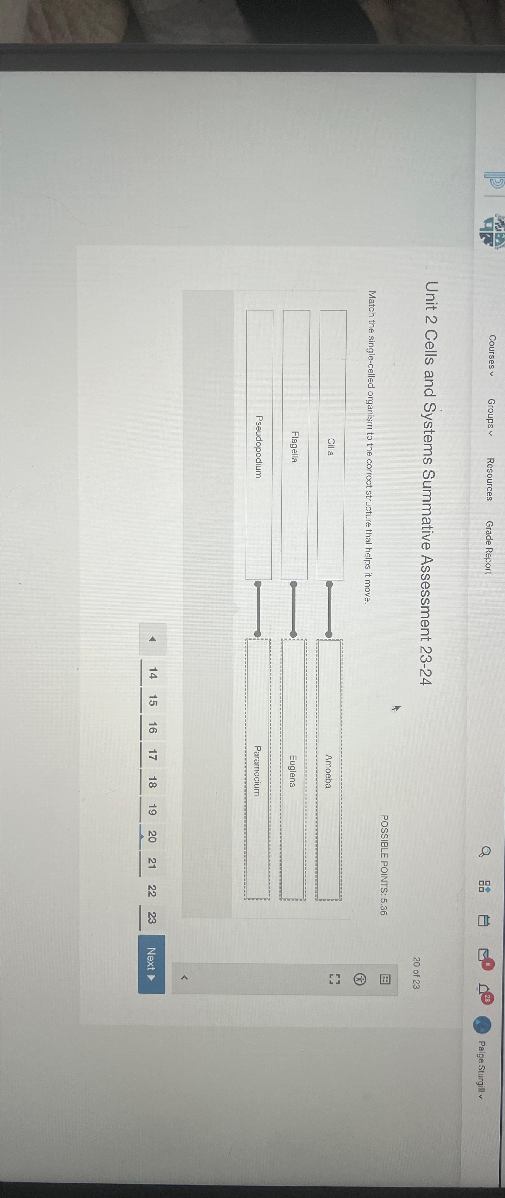 Solved Unit 2 ﻿Cells and Systems Summative Assessment | Chegg.com