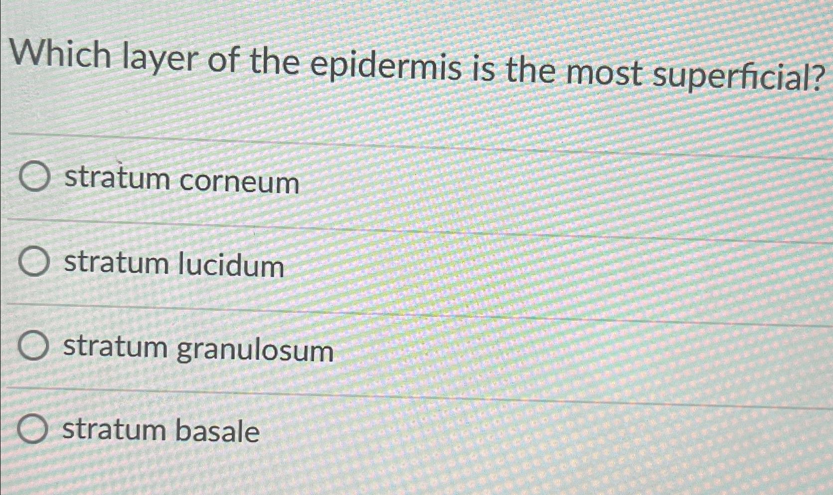Solved Which layer of the epidermis is the most | Chegg.com