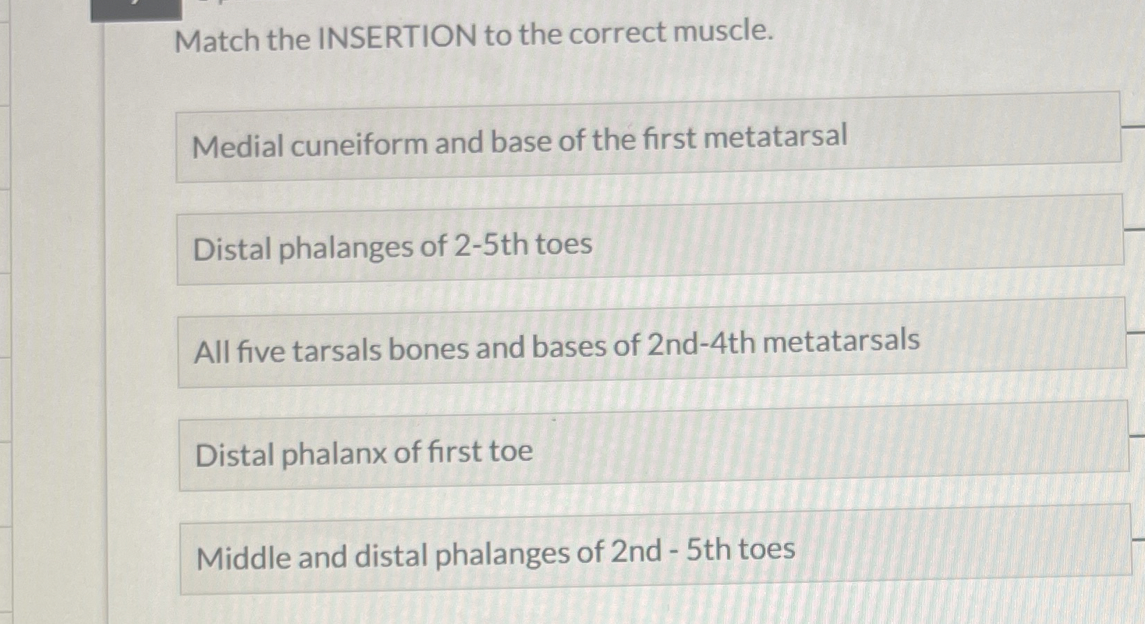 Solved Match the INSERTION to the correct muscle.Medial | Chegg.com