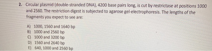 Solved 2. Circular plasmid (double-stranded DNA), 4200 base | Chegg.com