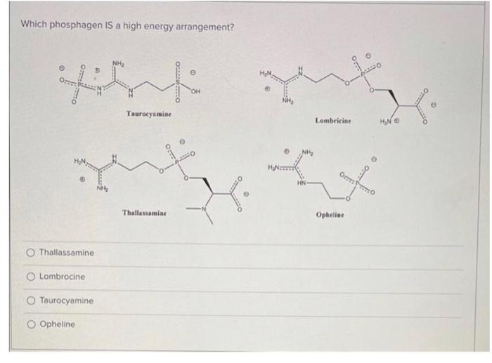Which phosphagen IS a high energy arrangement? | Chegg.com
