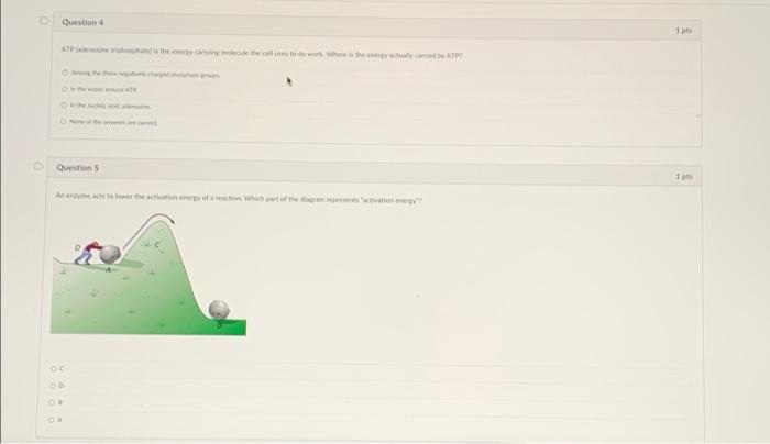 Question ATP the wested Where WAT Questions pti And | Chegg.com