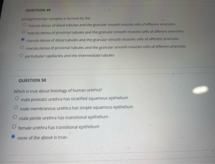 Solved QUESTION 49 juxtaglomerular complex is formed by the | Chegg.com