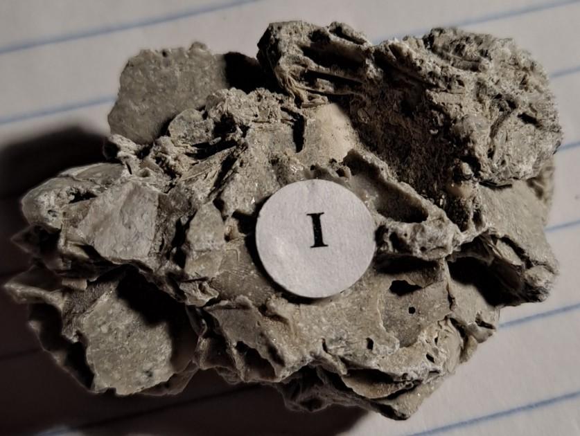 Solved Table 6: Sedimentary Rock Identification Rock Sample | Chegg.com