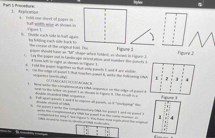 Solved art 1 Procedure: 1. Replication a. Fold one sheet of | Chegg.com