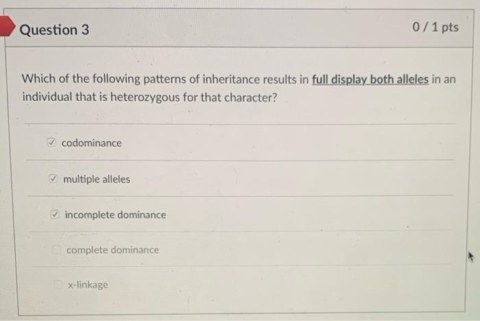 Solved Question 3 0/ 1 pts Which of the following patterns | Chegg.com