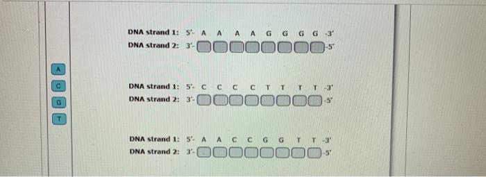 Solved Part C- Buliding a DNA sequence In this activity, you | Chegg.com