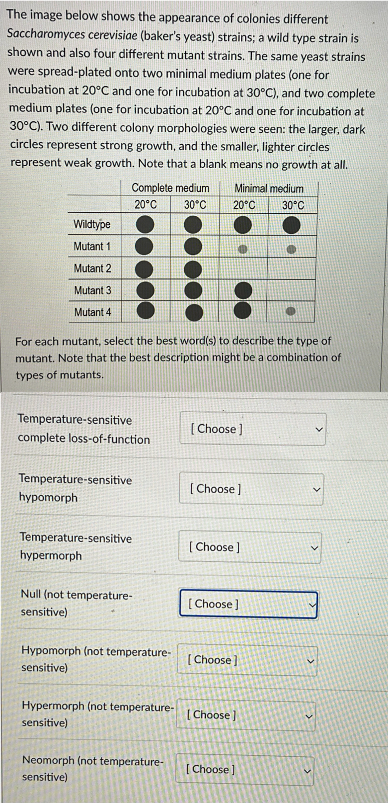 Solved The image below shows the appearance of colonies | Chegg.com