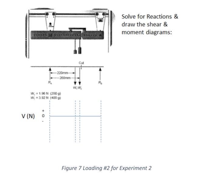 Solved Conditions This experiment examines how shear force | Chegg.com
