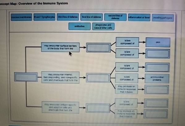 Solved concept Map: Overview of the Immune System | Chegg.com Solved concept Map: Overview of the Immune System | Chegg.com