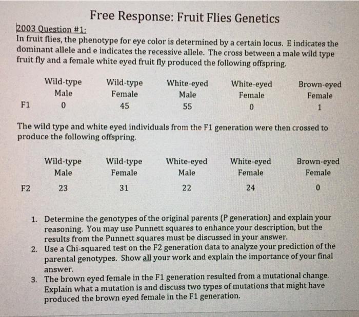 Solved Free Response: Fruit Flies Genetics 2003 Question #1: | Chegg.com