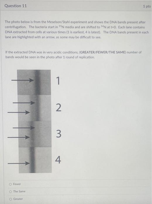 Solved The photo below is from the Meselson/Stahl experiment | Chegg.com