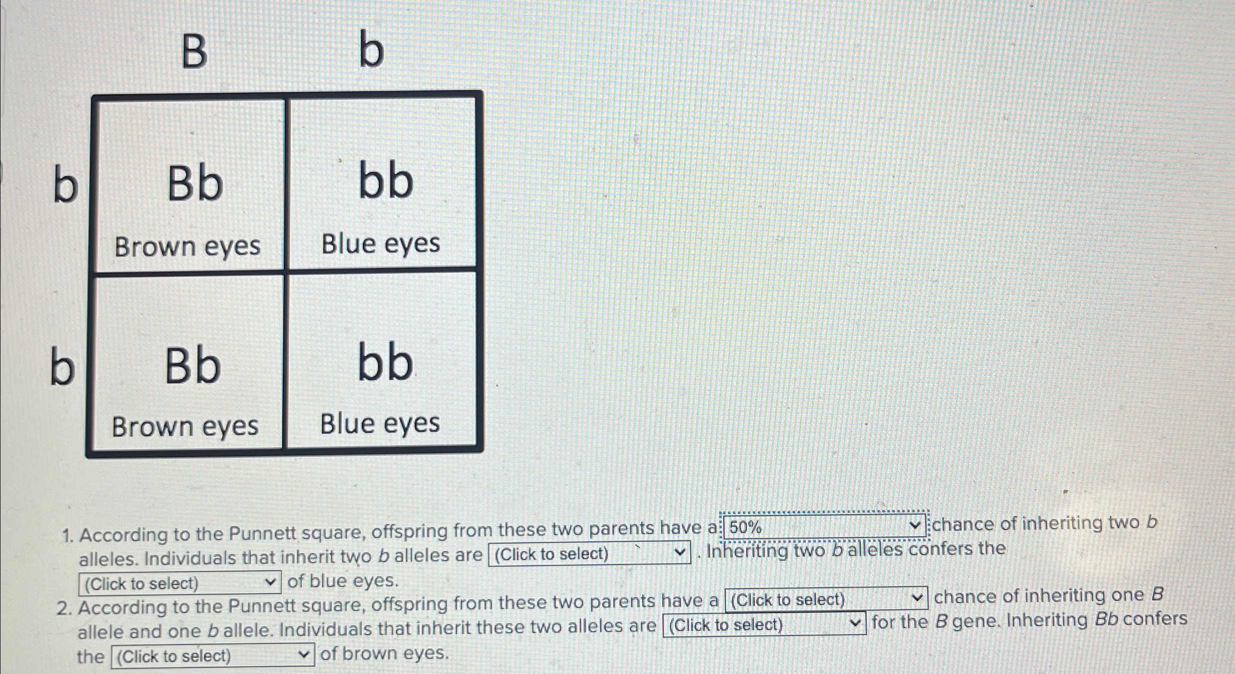 Solved According to the Punnett square, offspring from these | Chegg.com