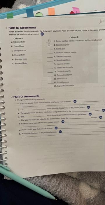 PART B: Assessments Match the bones in coluens A with | Chegg.com
