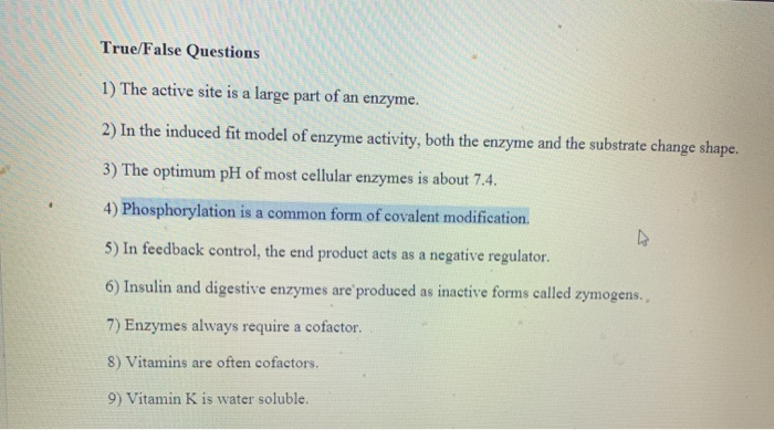 Solved True/False Questions 1) The active site is a large | Chegg.com