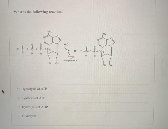 Solved What is the following reaction? NH NH HO Energy | Chegg.com