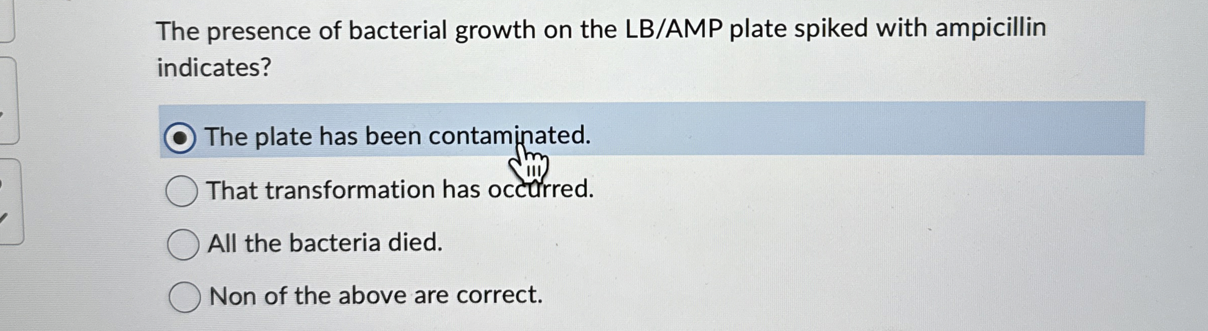 Solved The presence of bacterial growth on the LB/AMP plate | Chegg.com