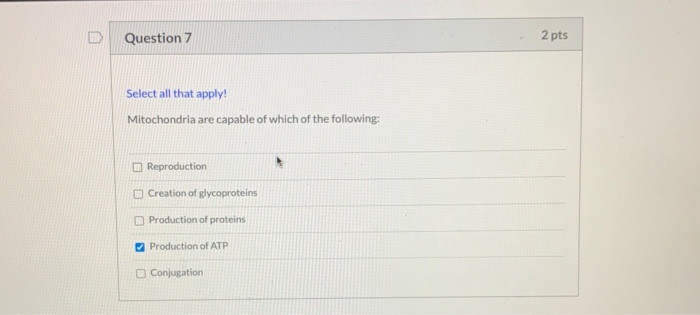 Solved Question 7 2 pts Select all that apply! Mitochondria | Chegg.com