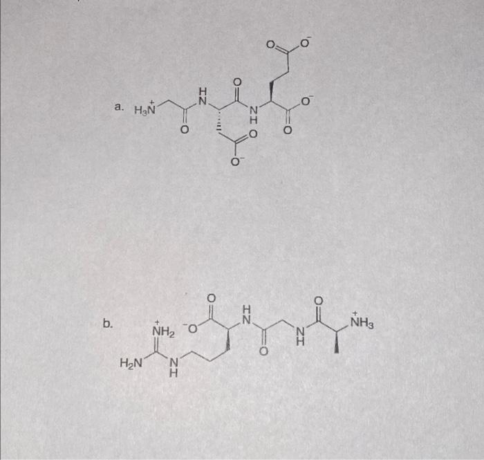 Solved Name each peptide using the three-letter nomenclature | Chegg.com