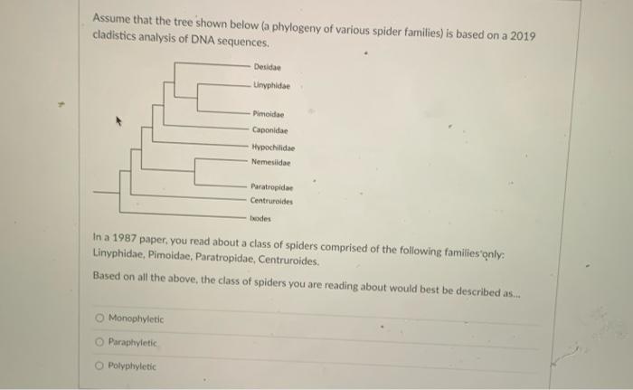 Solved Assume that the tree shown below (a phylogeny of | Chegg.com